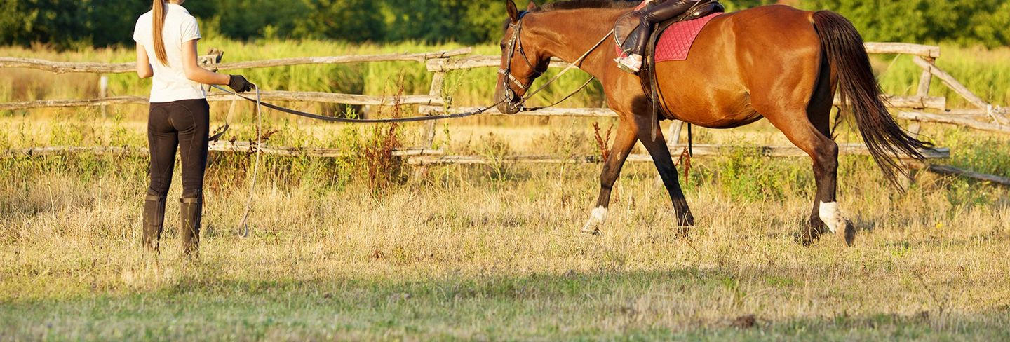 The 10 Best Horseback Riding Lessons in Atlanta, GA 2019